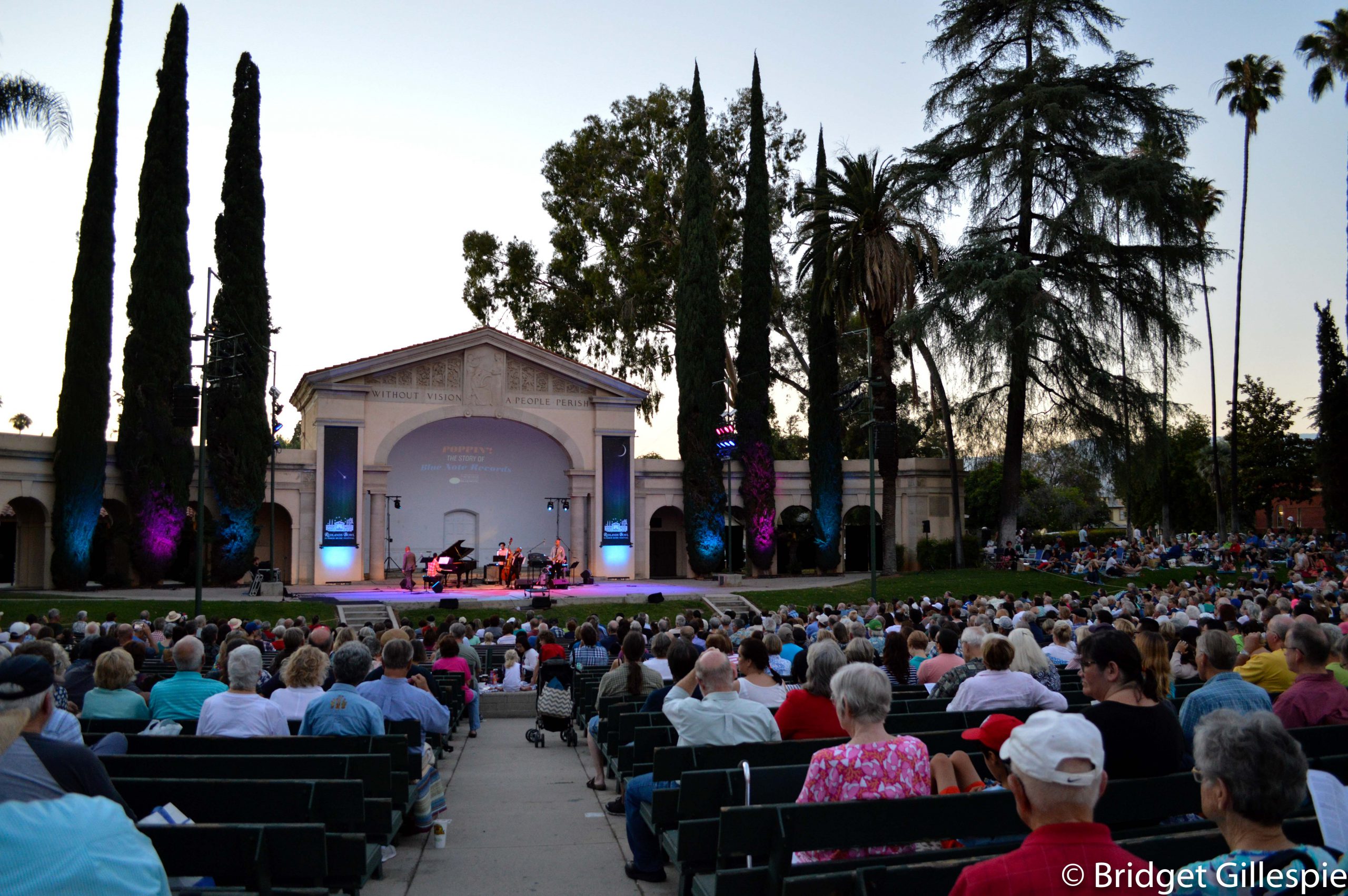 The Bowl Family | BRIDGET GILLESPIE