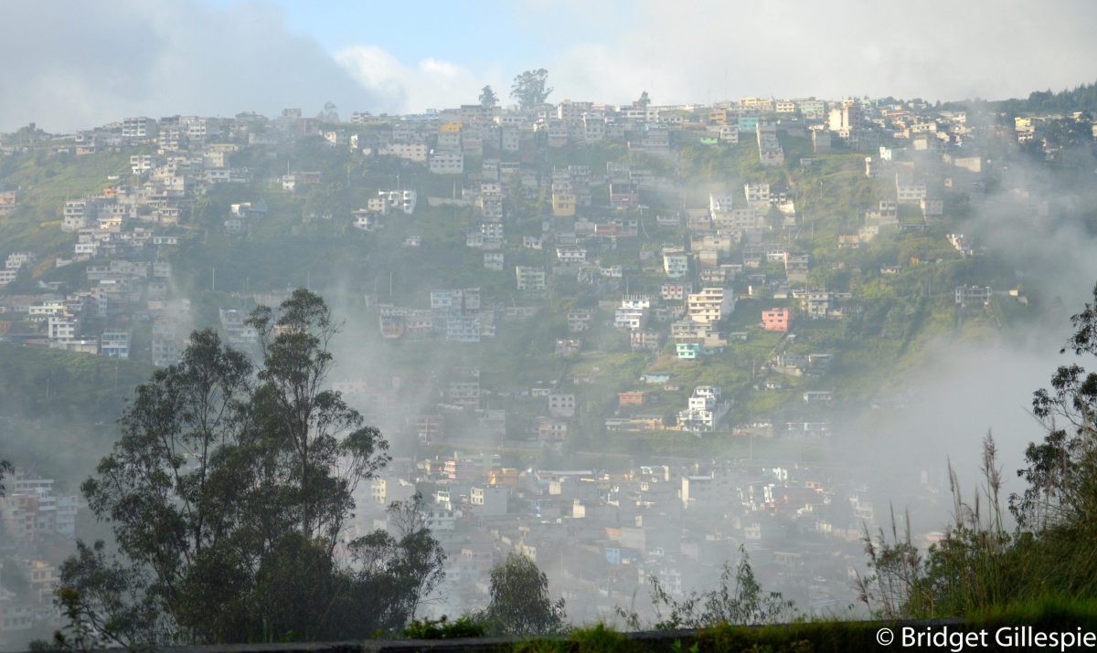 Introduction to The Freedom Series | BRIDGET GILLESPIE